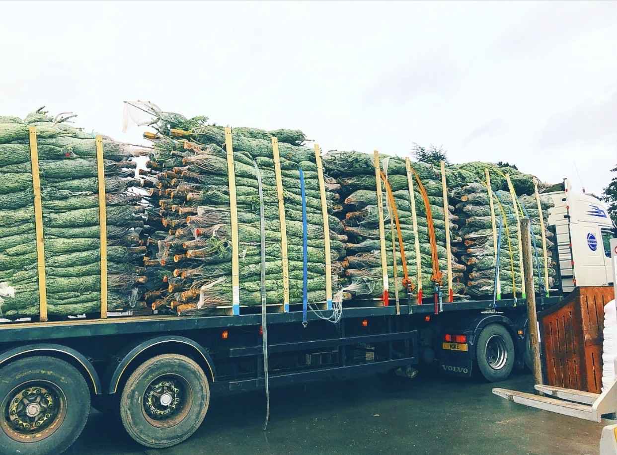Trees on lorry | Birstall Garden & Leisure