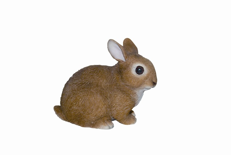 Vivid Arts Resin Animals - Real Life Baby Rabbit Head Up . 12cm | Birstall